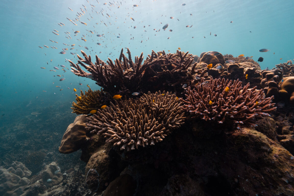 Moken Experience - Andaman Discoveries